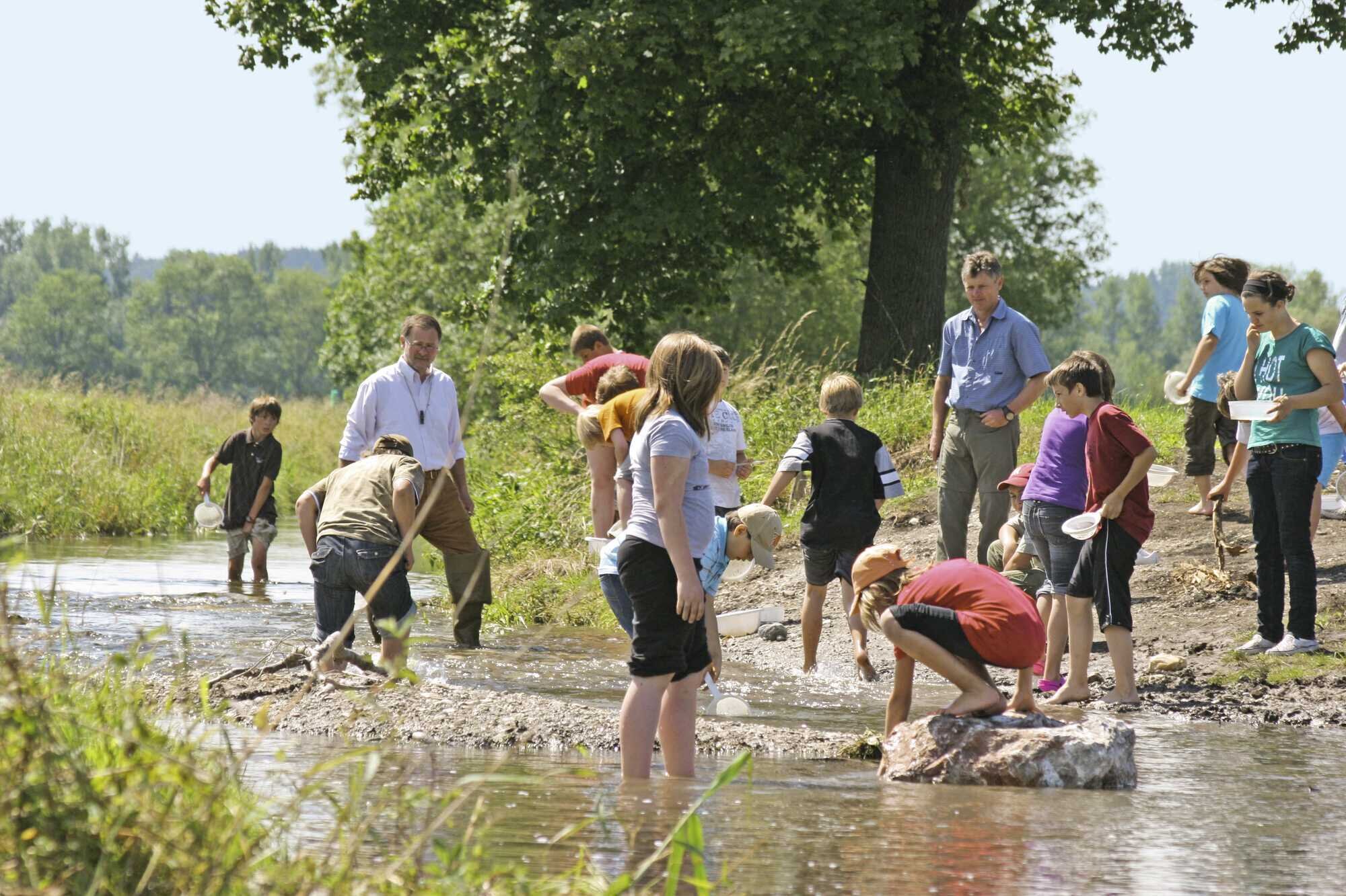 Auf zur Bachsafari - Bayerisches Landwirtschaftliches Wochenblatt 25-2023 Auf zur Bachsafari - Bayerisches Landwirtschaftliches Wochenblatt 25-2023