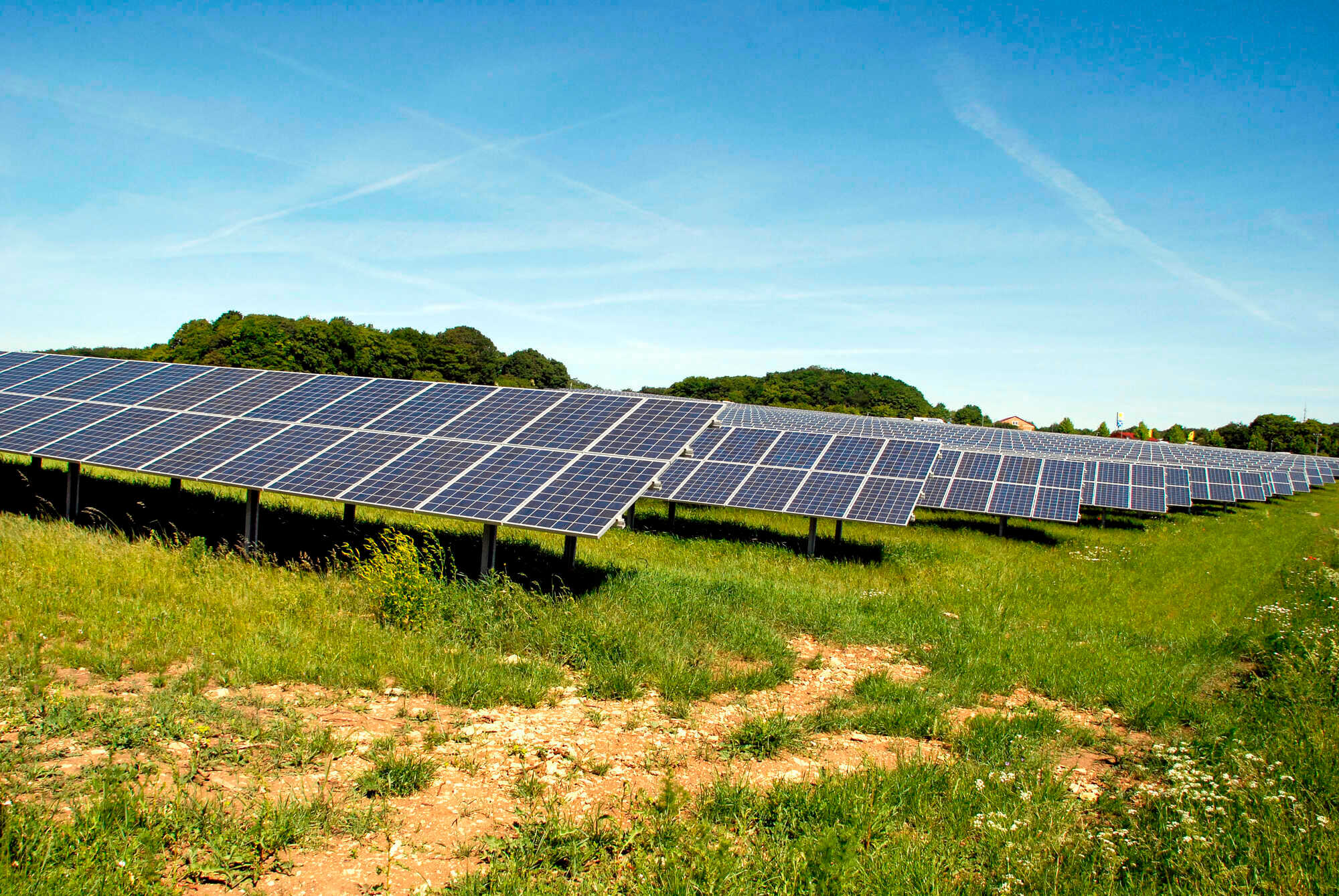 Freiflächen-PV: Zwischen Wunsch und Wirklichkeit - LAND & FORST 9-2022 Freiflächen-PV: Zwischen Wunsch und Wirklichkeit - LAND & FORST 9-2022